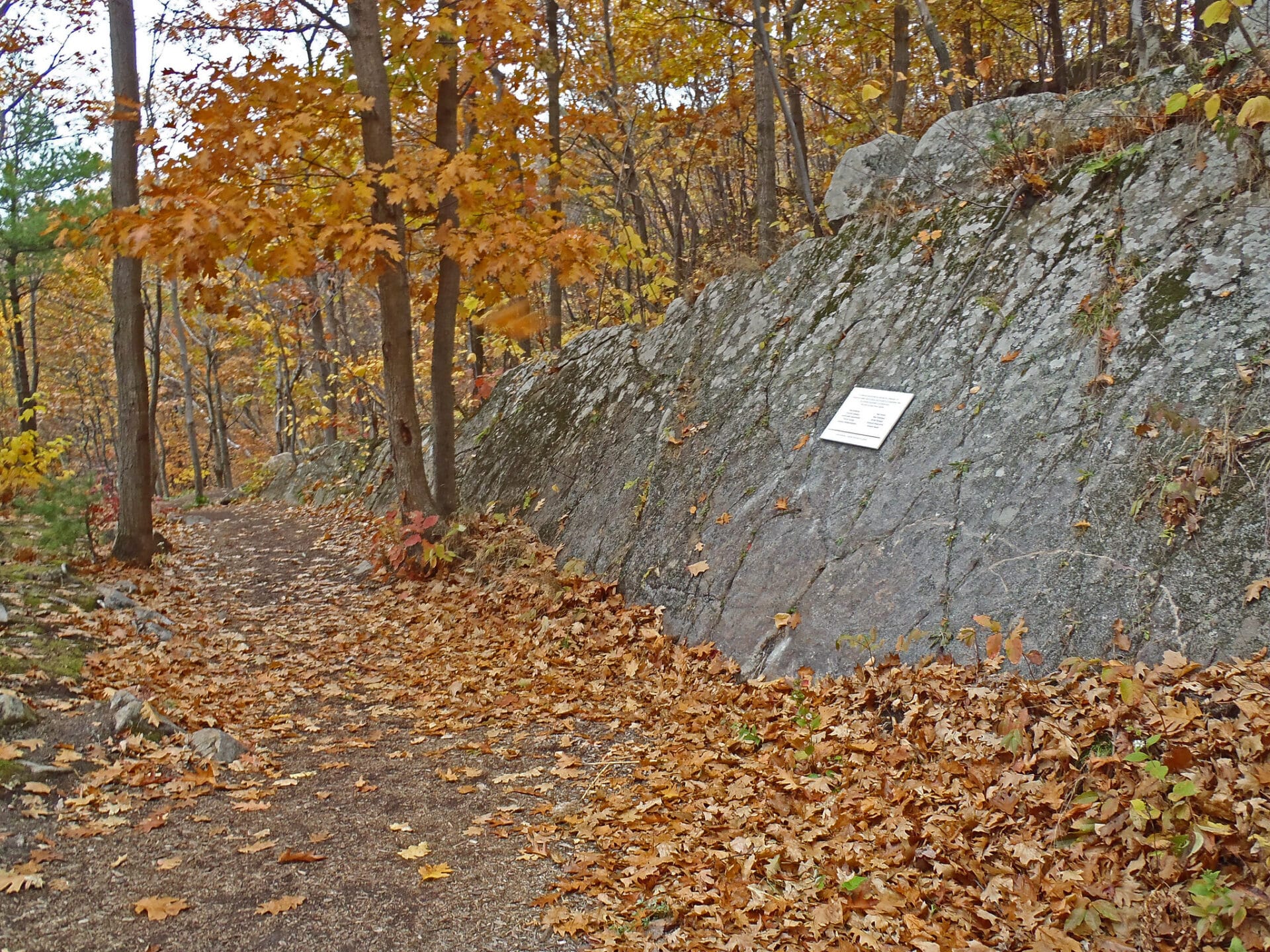 Plaque aux victimes de la Manseau 101 - Commission de la capitale ...